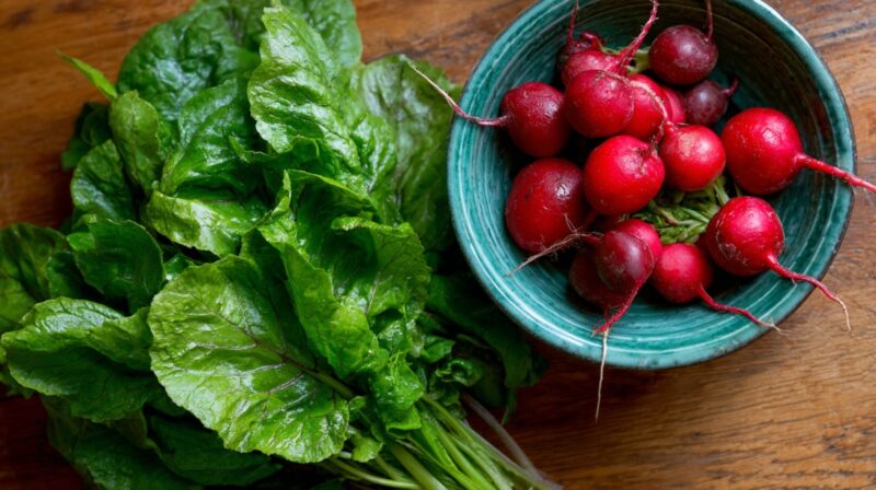 How to Cook and Eat Radish Greens Without Waste - Southern Parm